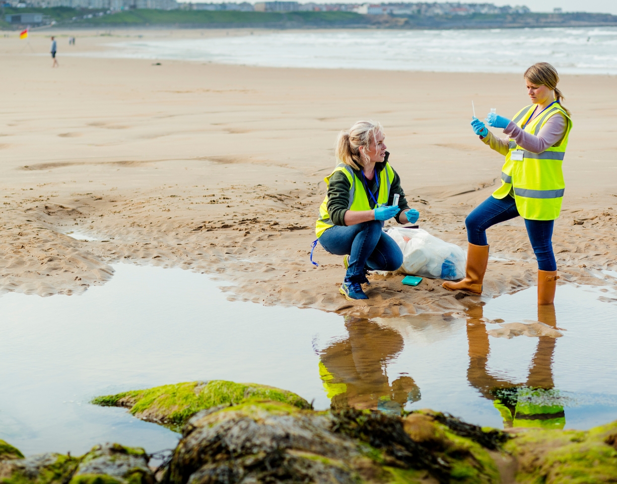 Environmental Pollution Program - Wholesure